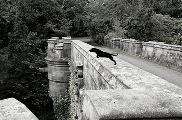 The Dog Suicide Bridge ― A Lure Of Death In Scotland