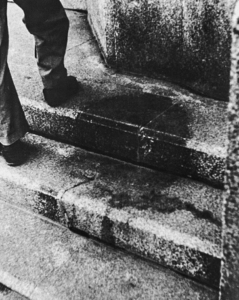 Hiroshima's Haunting Shadows: The Atomic Blasts That Left Scars On Humanity