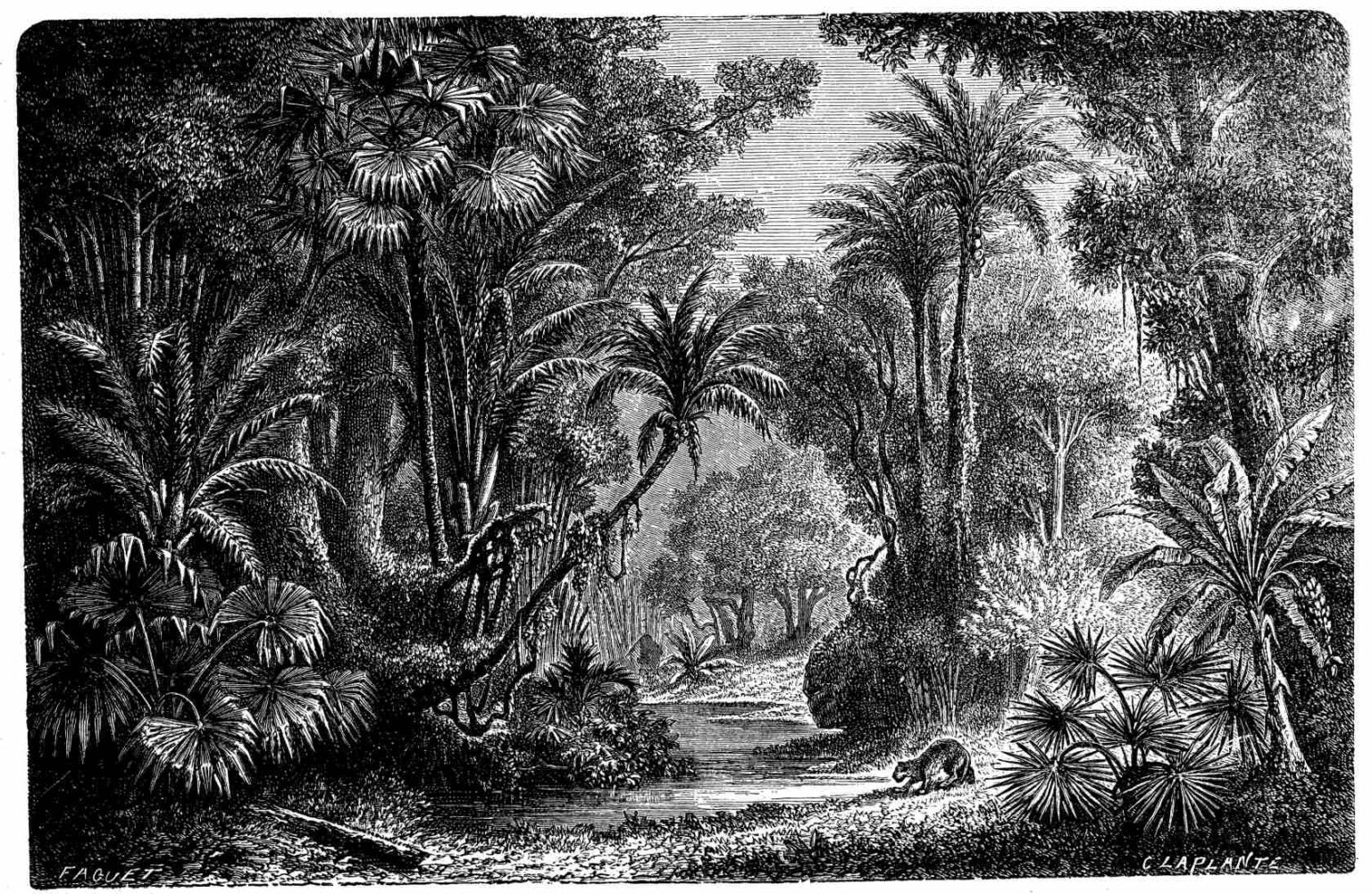 Dina Sanichar – A Wild Indian Feral Child Raised By Wolves