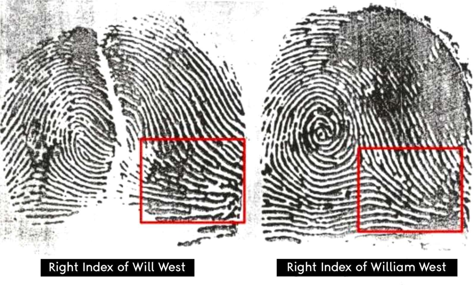 Will & William Wests – The Baffling Case Of Two Unrelated Identical Inmates