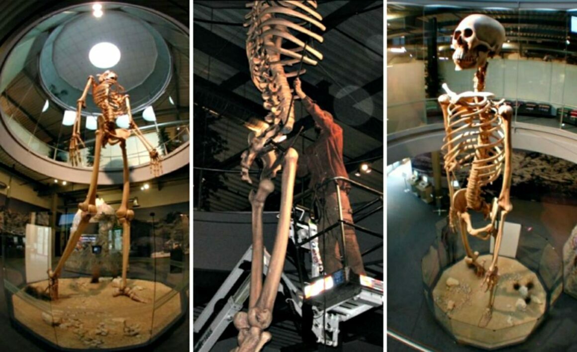 Legendary 'giants' Of Peru Whose Skeletons Were Seen By The Conquerors