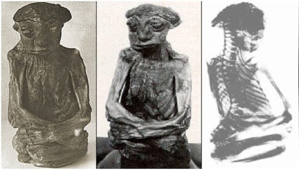Pedro: The Mysterious Mountain mummy