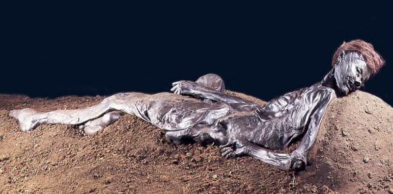 Tollund Man: Archaeologists Uncovered A 2,400-year-old Mummy In Denmark