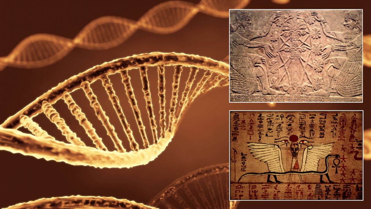 Have Scientists Finally Decoded The Ancient Knowledge Of How To Change ...