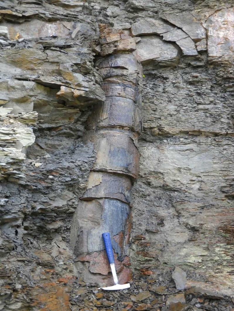 The 150,000-year-old Baigong Pipes: Evidence Of An Advanced Ancient ...