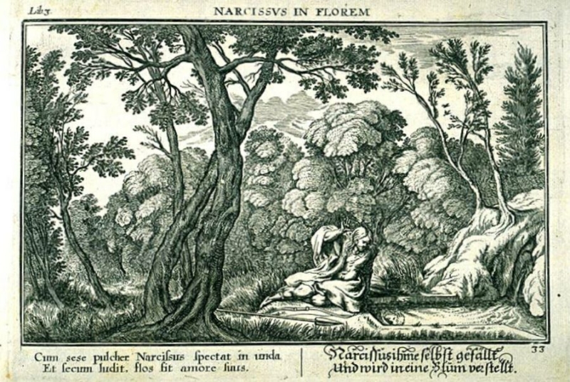 Narcissus, Who Fell In Love With His Own Reflection