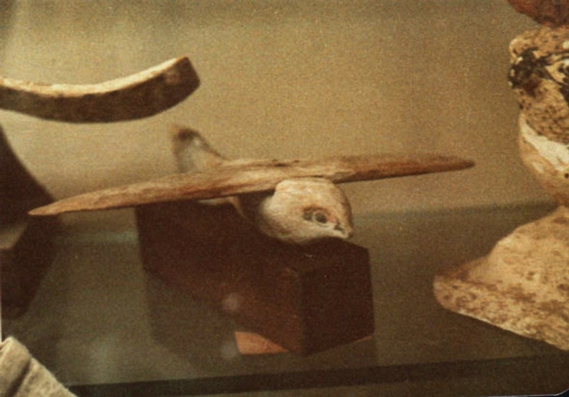 The Saqqara Bird: Did The Ancient Egyptians Know How To Fly?