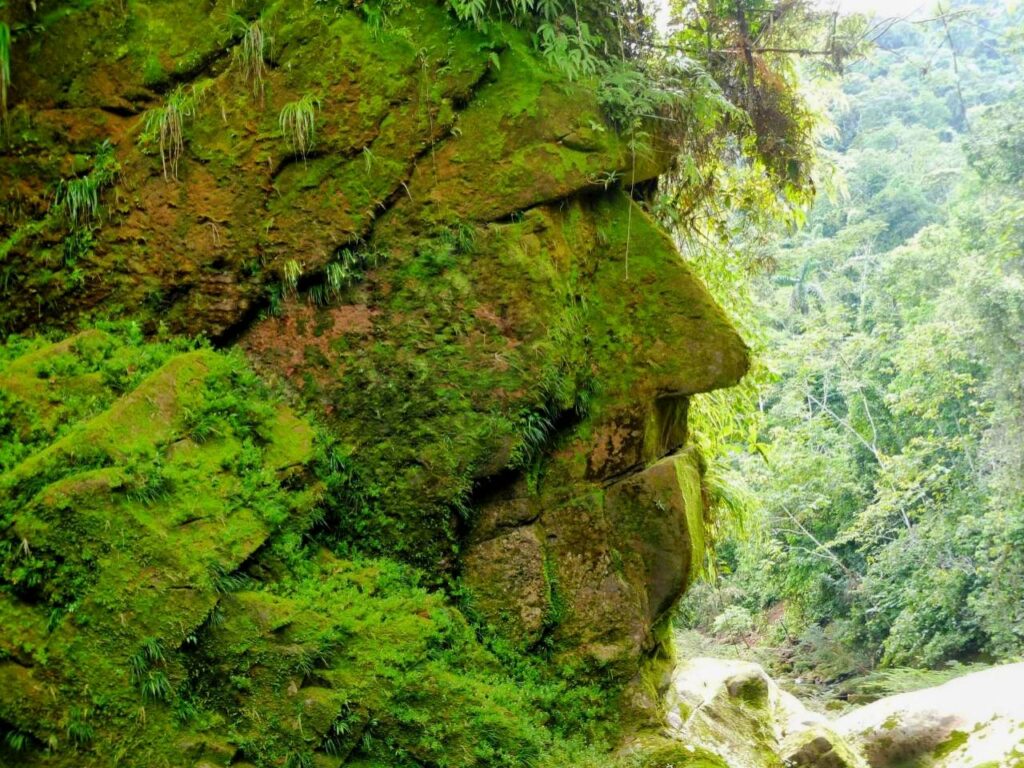 Face Of Harakbut – The Ancient Guardian Of The Forgotten City Of El Dorado?