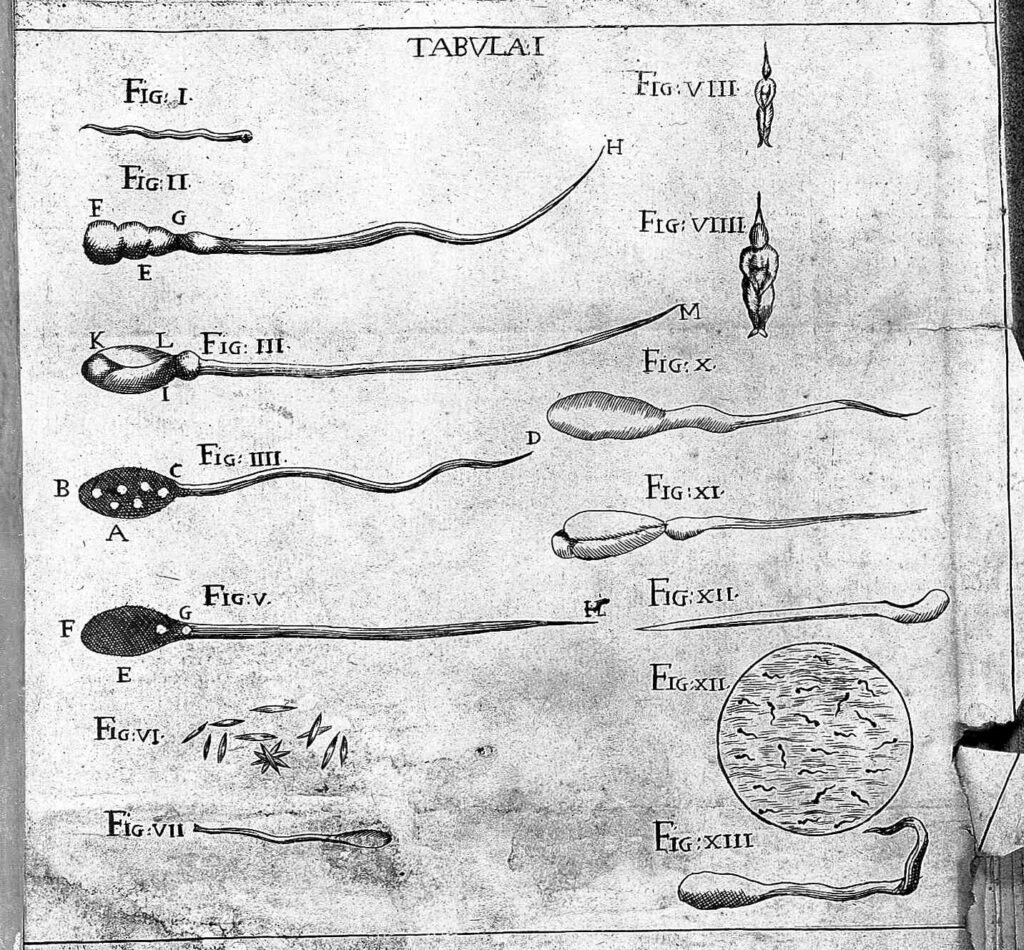 Homunculi: Did The "little Men" Of Ancient Alchemy Exist?