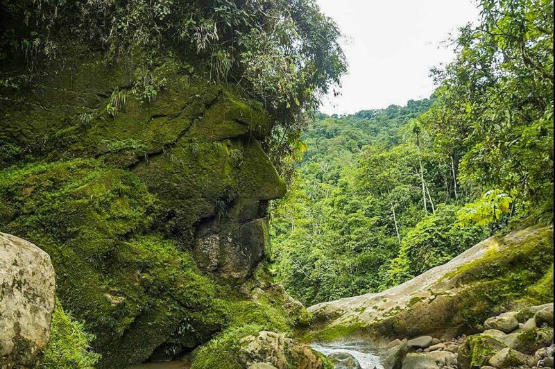 Face Of Harakbut – The Ancient Guardian Of The Forgotten City Of El Dorado?