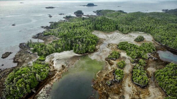 Evidence Of A 14,000-year-old Settlement Found In Western Canada