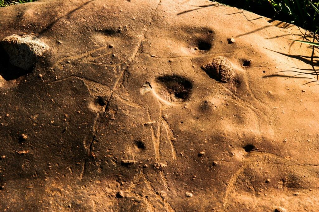 Strange 8,000-year-old Rock Carvings In The World's Largest Asteroid Crater