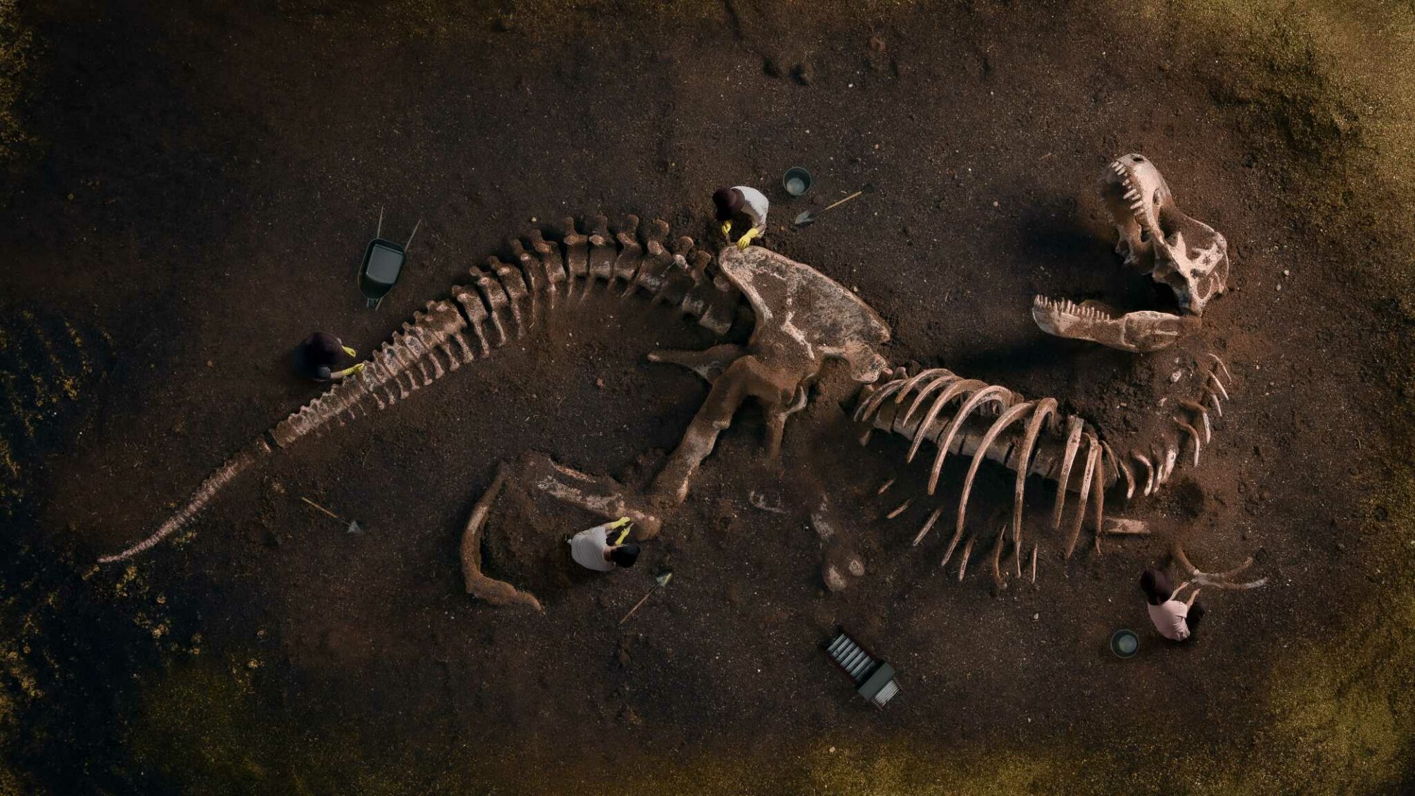 ¿Qué causó las 5 extinciones masivas en la historia de la Tierra?
