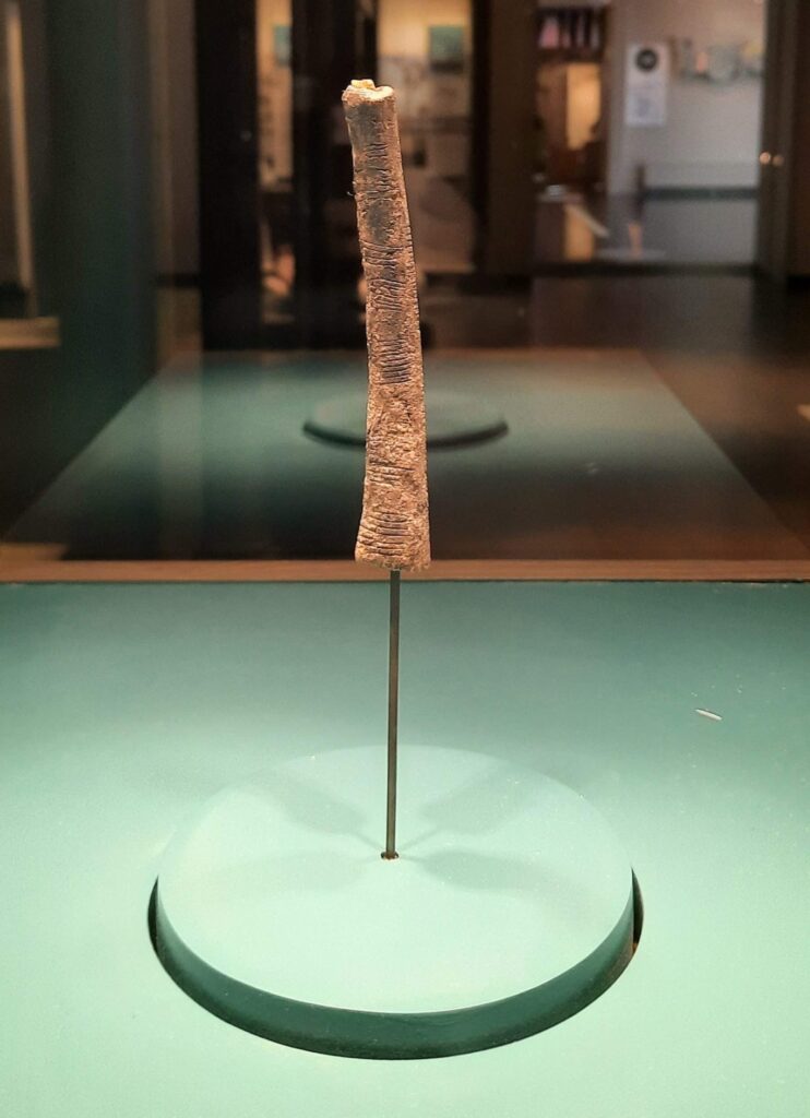 The Ishango Bone: A 20,000 Years Old Mathematical Enigma