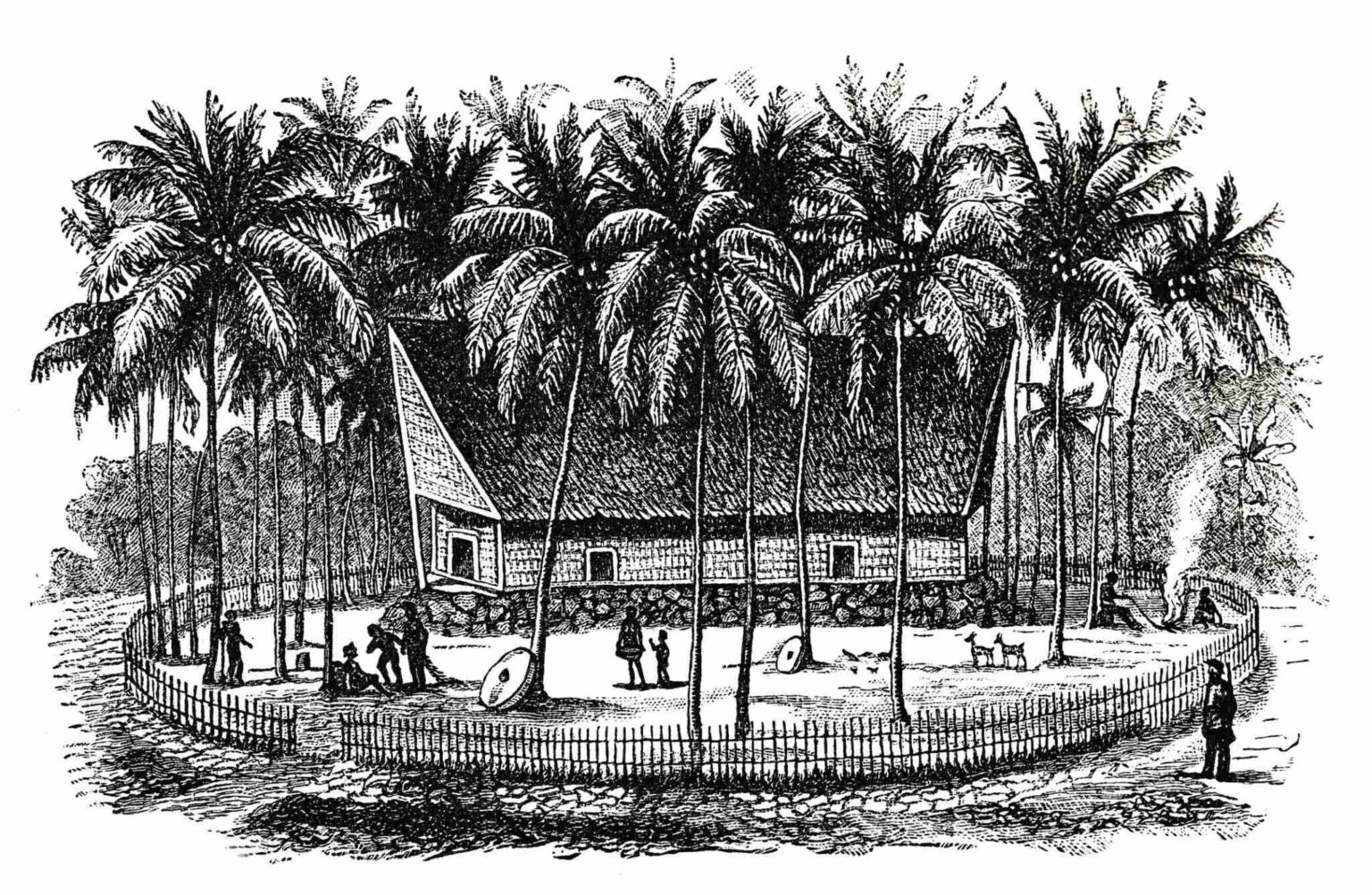 The Stone Money Of Yap