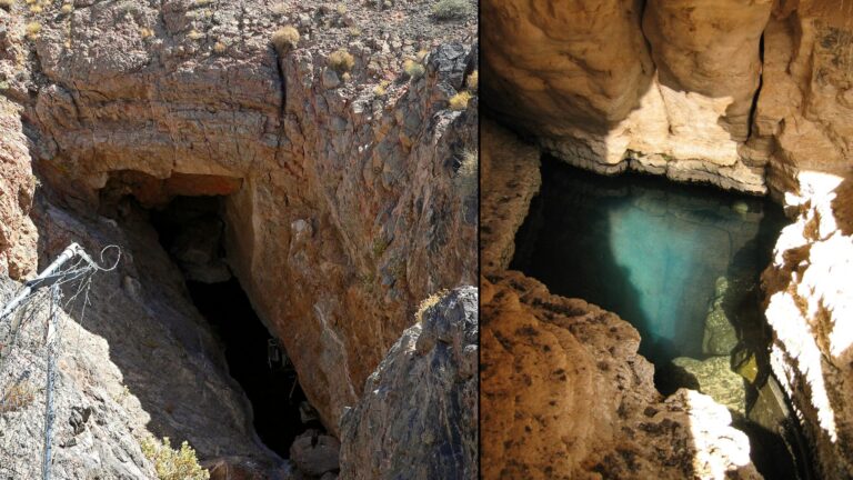 The Devil Worm: The Deepest Living Creature Ever Found!